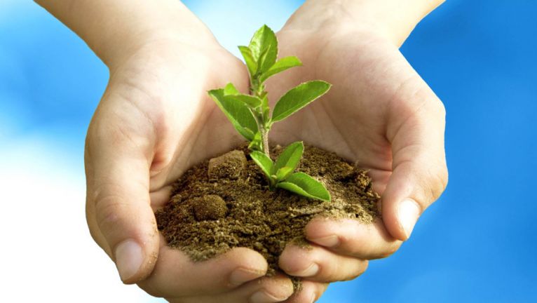 About Hungary - Hungary approves climate and nature protection action plan