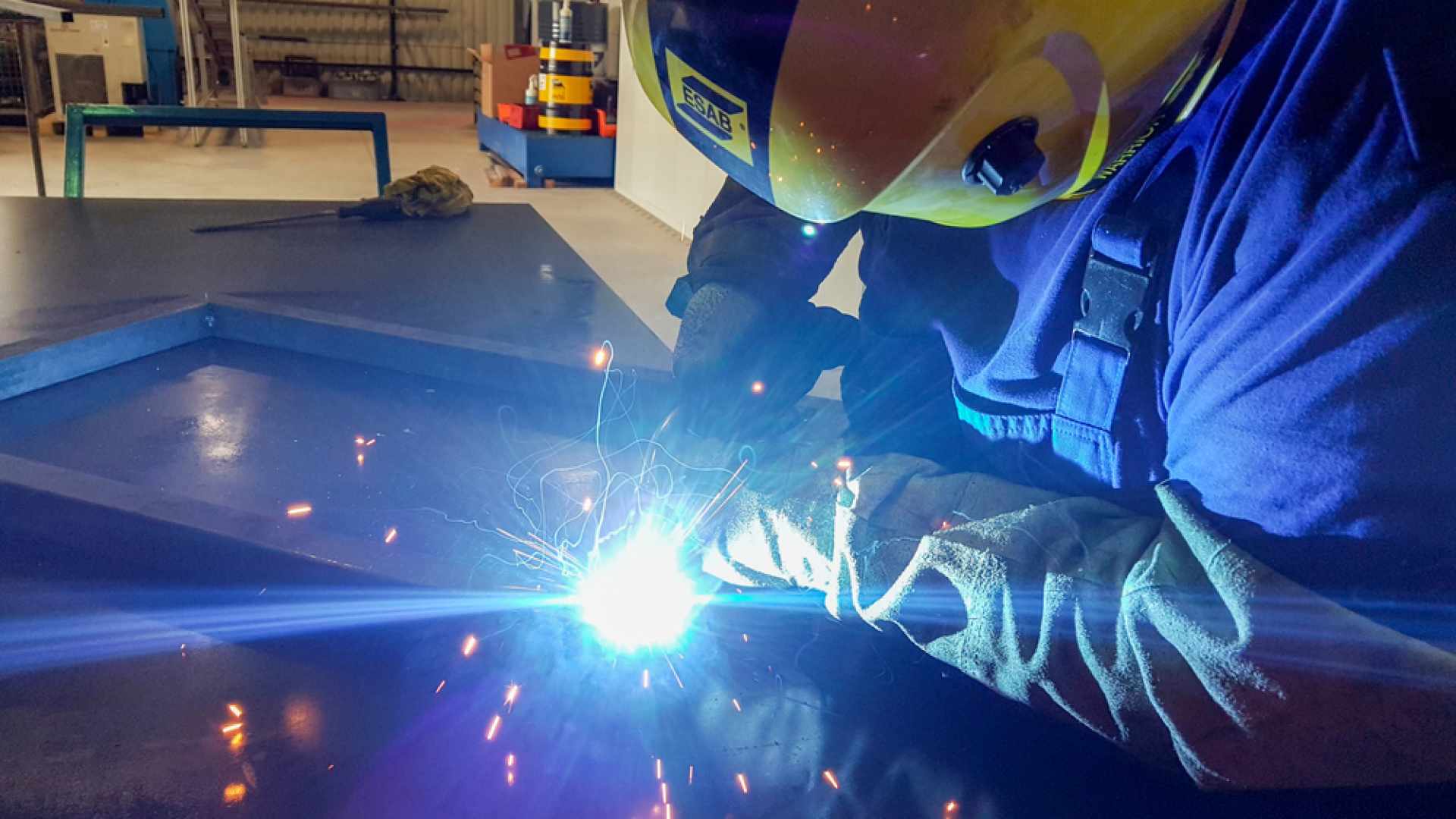 About Hungary - CoE highlights Hungary's schemes aimed at integrating ...